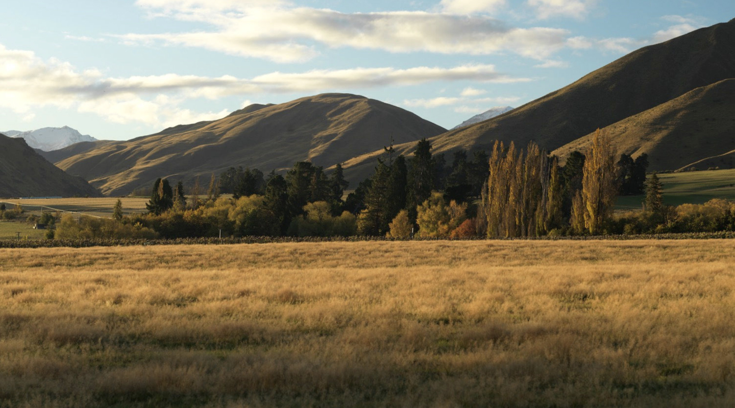 Swifty Beer | Made with the World's best Barley grown at Royalburn